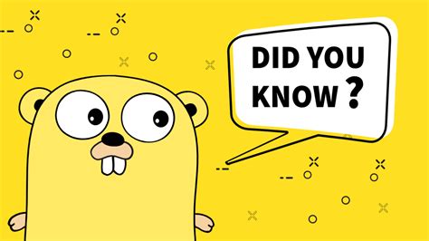 The Impact Of Struct Field Ordering On Memory Usage In Golang By