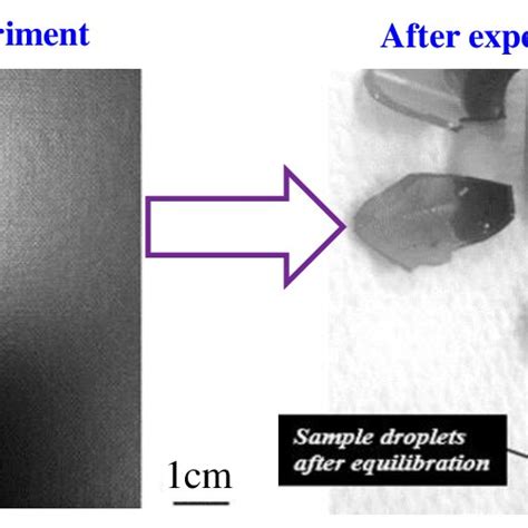 Interphase Mass Transfer Diagram Of The Key Mass Transfer Elements And