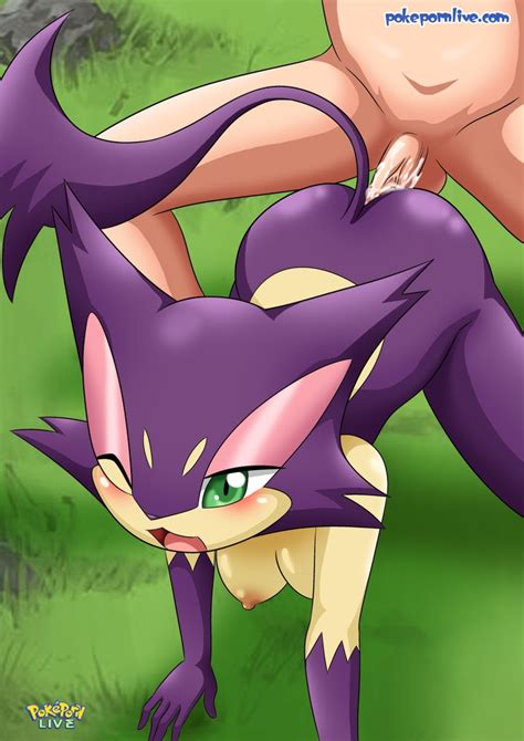 Purrloin Pokedex Pokemon Characters Fandoms Funny Cocks Best Free Porn R