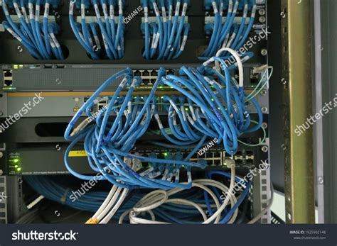 75 Fully Connected Layers Images Stock Photos Vectors Shutterstock