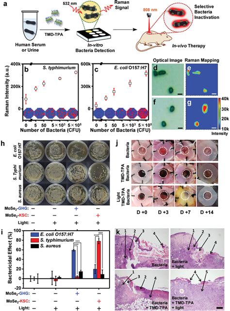 Selective Detection And Inactivation Of Pathogenic Download