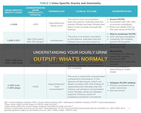 Understanding Your Hourly Urine Output Whats Normal Medshun