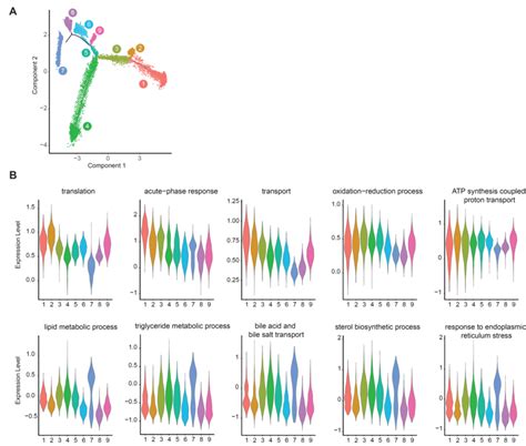 Figure Supplement 1 A Ddrtree Trajectory Showing The Nine States