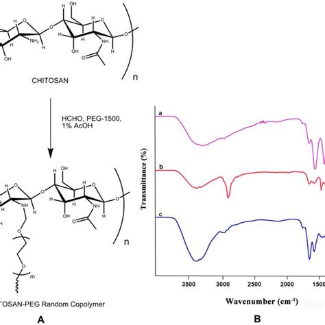 A Scheme For Synthesis Of Cs Peg Copolymer By Formaldehyde Linkage Download Scientific