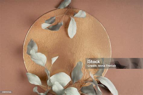 구성 빈 연단 재료 유칼립투스 꽃 제품 프리젠테이션 배경 Mocha Olor 자연 소재의 아름 다운 배경 0명에 대한 스톡 사진 및 기타 이미지 Istock