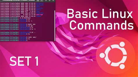 Basic Linux Commands SET TronicLankan YouTube