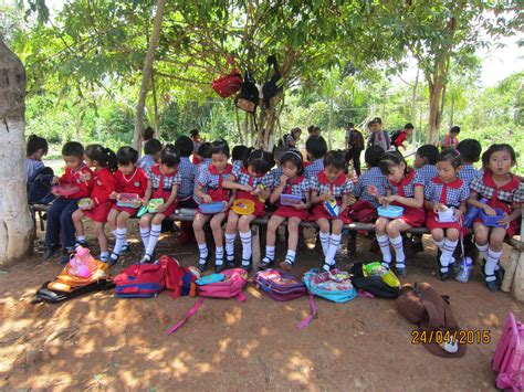 A Visit To The Zoo Class B