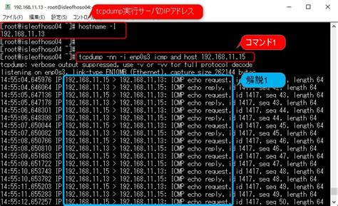 Tcpdumpをリアルタイムで閲覧する時に活用するフィルタ方法 ほそぼそ話