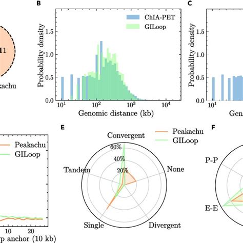 Organizational And Functional Comparisons Between The Loops On Cell Download Scientific Diagram