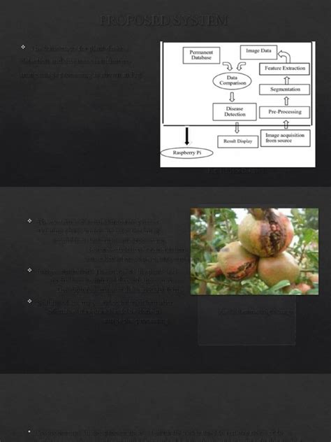 Plant Proposed System Pdf Image Segmentation Algorithms