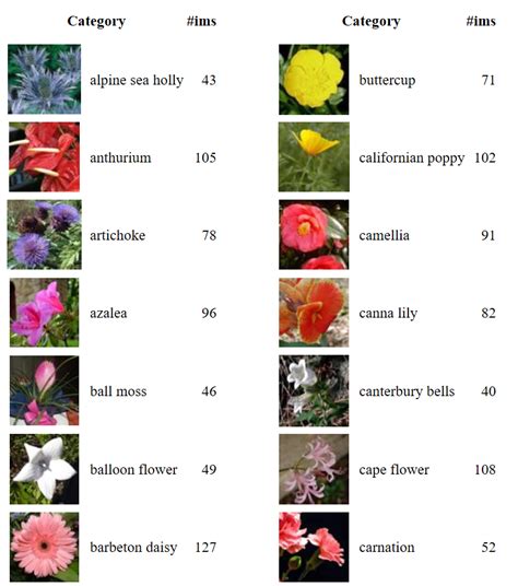github gaoli1537 flower102 flower102数据集分类 tensorflow slim inceptionv3