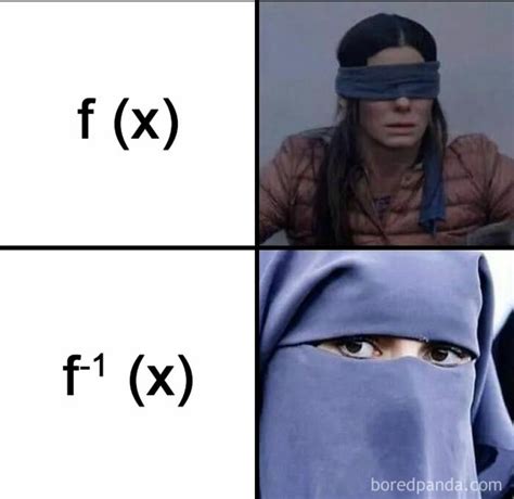 Visual Representation Of Inverse Functions Rmathmemes