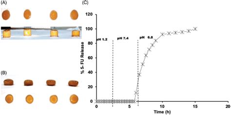A Photographic Image Of A Compressed Coated Tablets Containing Download Scientific Diagram