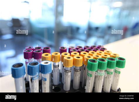 Sample Tubes Of Blood Boxes Chemotherapy Onkologikoa Hospital
