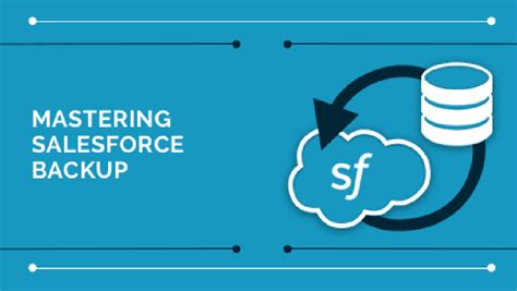 Mastering Salesforce Backup Spanning