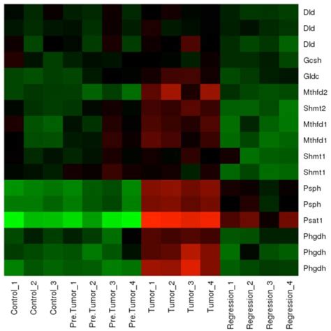 Transcriptional Upregulation Of The Novel Pathway In A Myc Induced Download Scientific Diagram