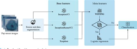 figure 1 from a voting stacking ensemble of inception networks for