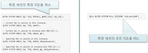 세션은 취소하지 않은 상태에서 특정 Sql 만 취소 하는 방법 Dba의 정석