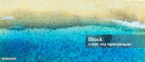 바다와 해변 배경에서 공중에서 본 모습 코코넛 나무와 야자수 그늘이 있습니다 여름 휴가 아이디어 여름 해변과 바다의 자연 반짝이는 바다 경관에 대한 스톡 사진 및 기타