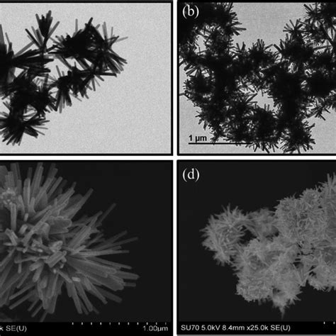 Tem Images A B And Sem Images C D Of The Su Zno Nanostructures Download Scientific Diagram