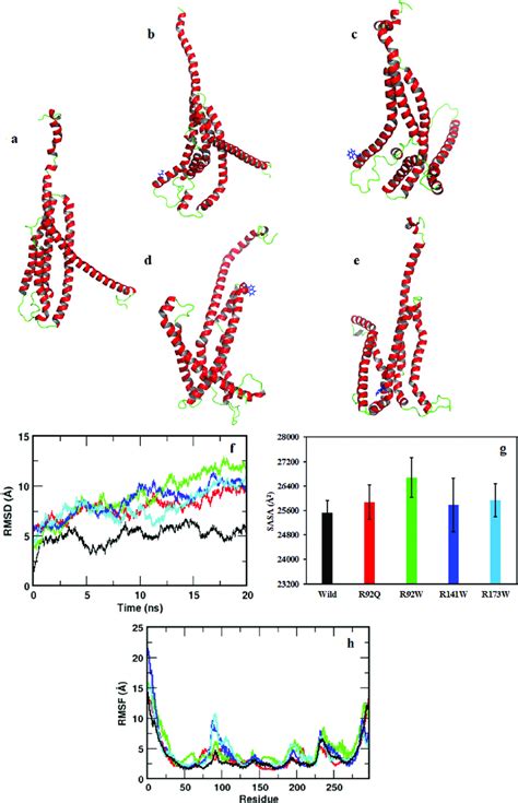 Molecular Dynamics Simulations Of Wild Type Wt And Tnt Variants Download Scientific Diagram