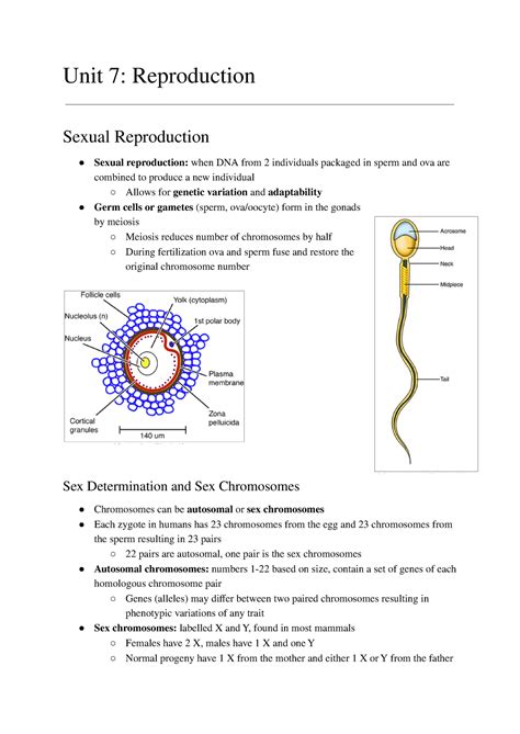 BIOM Unit Sexual Reproduction Unit Reproduction Sexual Reproduction Sexual Studocu