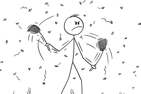 Gender Of A Fly Funsteria