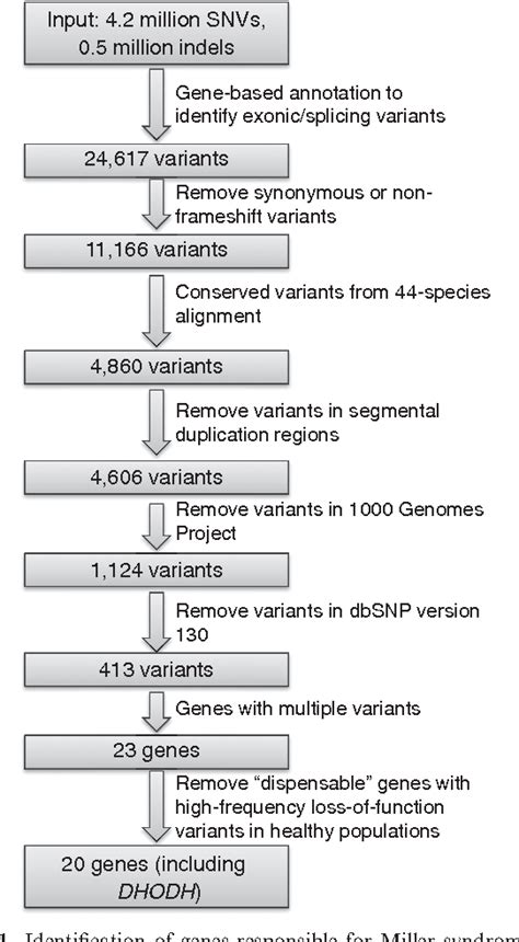 Pdf Annovar Functional Annotation Of Genetic Variants From High Throughput Sequencing Data