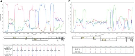detection of potential recombination events by bootscan analysis and