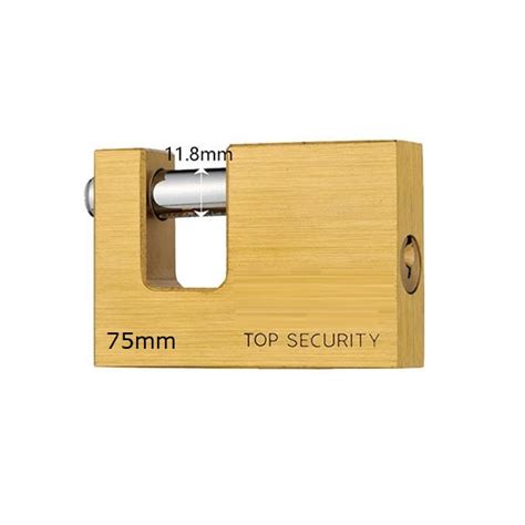 Custom 75mm Brass Solid Body Truck Lock Rectangular Monoblock Ws Rs75 Ws Locks Limited
