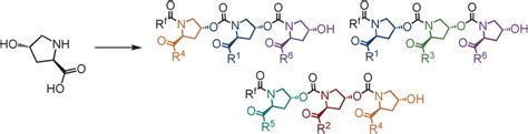 Sequence‐defined Oligomers From Hydroxyproline Building Blocks For Parallel Synthesis