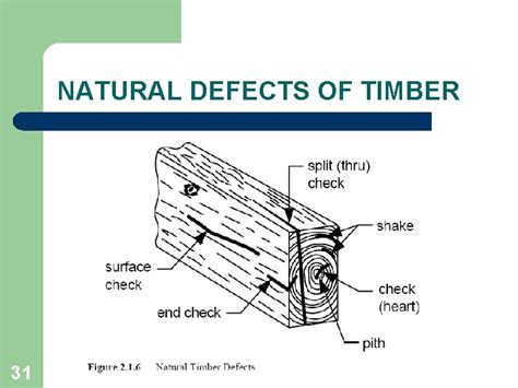 Trail Bridge Inspection Timber Deterioration Decay 1 Timber