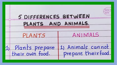 Difference Between Two Plants