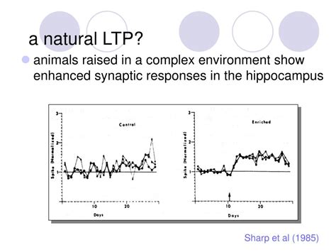 Ppt Synaptic Plasticity Powerpoint Presentation Free Download Id
