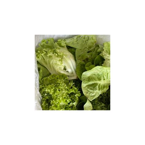 무농약 유럽샐러드 유러피안 1kg 로메인상추 카이피라 버터헤드 등 모듬샐러드채소 1688090149 단골마트닷컴