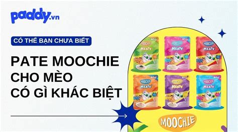 Khám Phá Sự Khác Biệt Với Pate Moochie Cho Mèo Cưng Của Bạn Paddy
