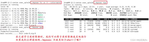 【linux】12 模拟实现shell 模拟linux系统shell编程 csdn博客