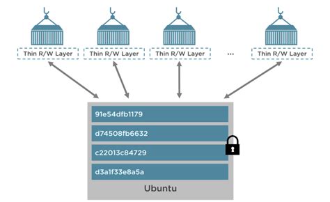 Docker Image คืออะไร Coding Gun