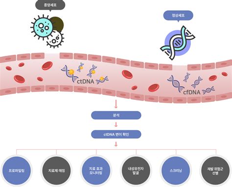 플랫폼의 설명 페이지