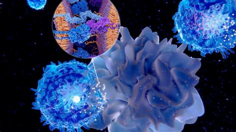 Beth Root Benefits Dosage Side Effects Drug Interactions And Other