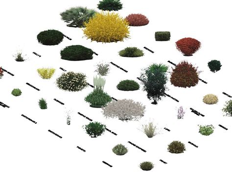Download Shrubs Revit Families Bim Objects Bim Library
