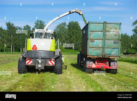 Claas Jaguar 850 Forage Harvester Cutting Grass For Silage And Loading Wagon Alunda Uppsala