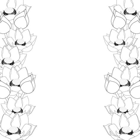 Indian Lotus Outline Border Vector Art At Vecteezy