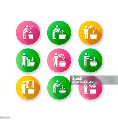 실내 원 예 단계 평면 디자인 긴 그림자 문 양 아이콘 세트입니다 하우스 플랜트 돌보는 리포팅 급수 비옥화 분무 꽃을 전파