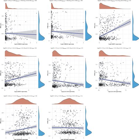 Frontiers Reclassification Of Endometrial Cancer And Identification Of Key Genes Based On