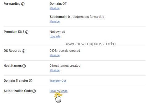 how do you get domain authorization code at godaddy