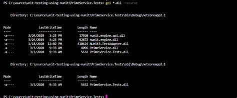 Dotnet Test No Build Isn T Running Tests On Built Source Mounted To A Docker Container