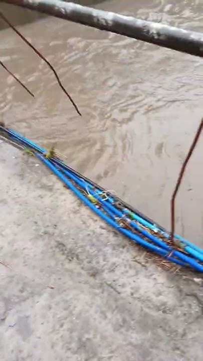 Short Baha Sa Ilog Youtube