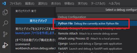 Vscode で Python をデバッグする Arege