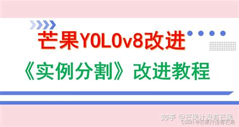 芒果yolov8实例分割任务《实例分割改进必看》：从零开始训练 yolov8实例分割教程说明 知乎